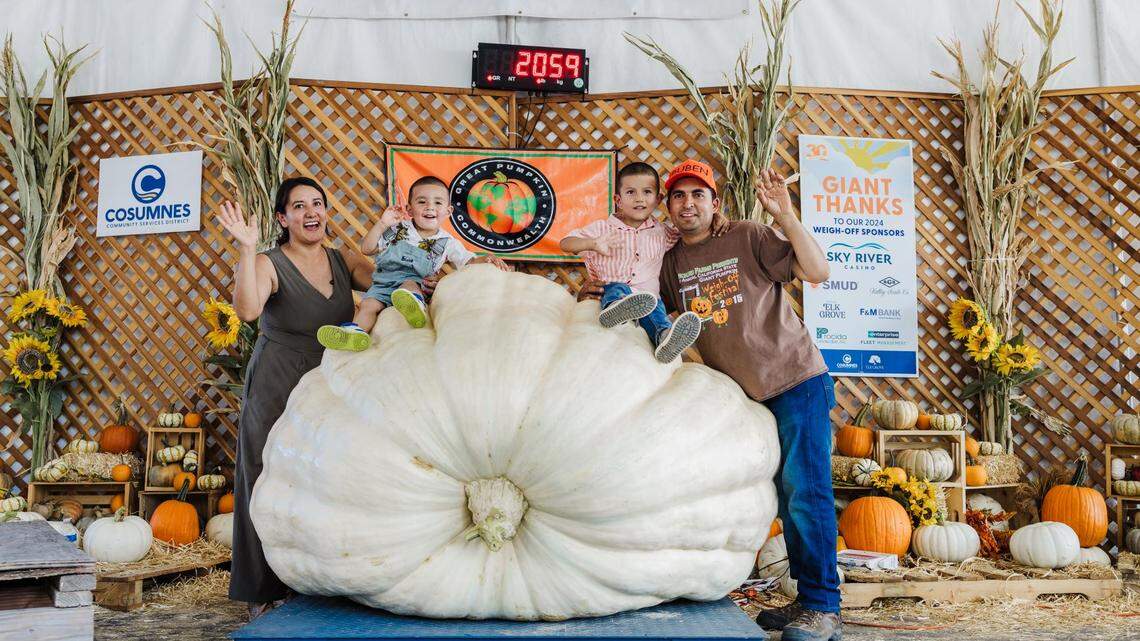 Elk Grove giant pumpkin festival celebrates fall family fun ...