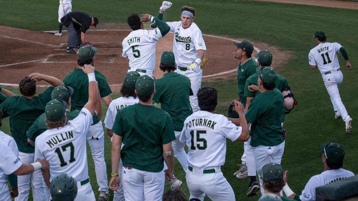 Sac State baseball: Gibbons, Smith take Hornets to WAC title ...