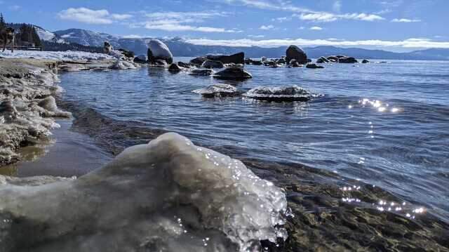 How is Lake Tahoe water so clear. These tiny organism help | Modesto Bee