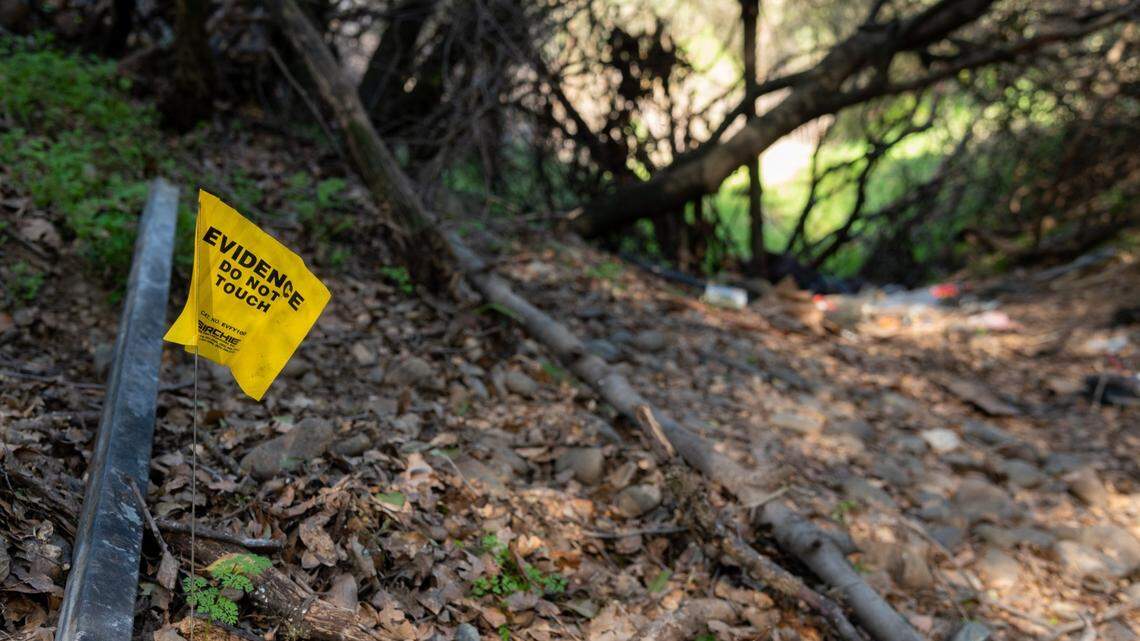 Emma Roark slaying rattles American River Parkway visitors | Sacramento Bee