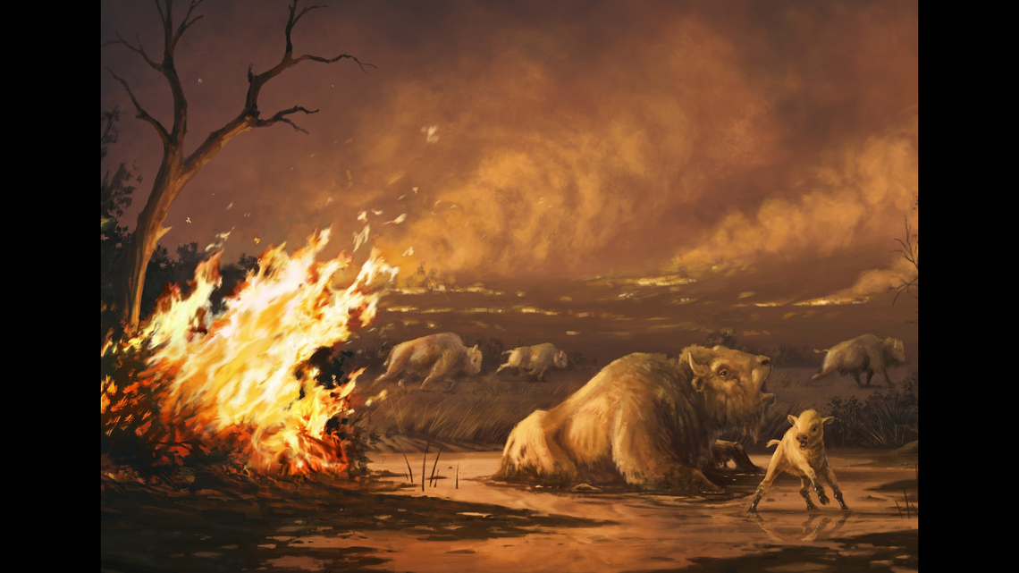 Extinction of creatures 13,000 years ago likely human-related | Tacoma ...