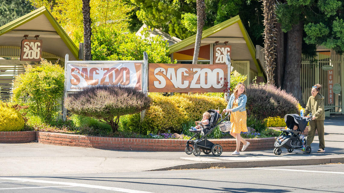 Sacramento Zoo proposes 40% expansion at Land Park | Sacramento Bee