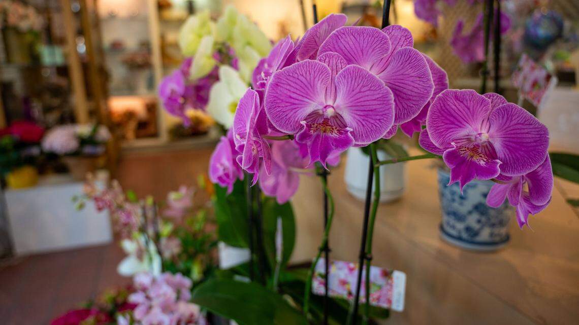 Sacramento CA flower shop Relles Florist: History, location ...