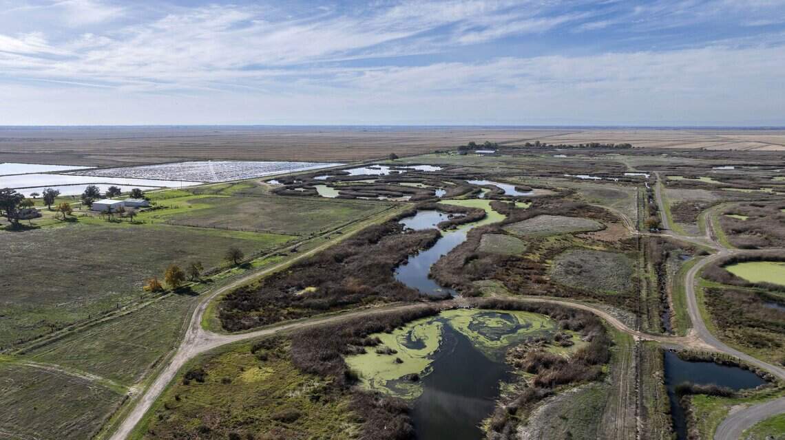 Will Sacramento County undo conservation in Natomas Basin? | Sacramento Bee